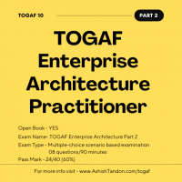 TOGAF Enterprise Architecture Practitioner - TOGAF 10 Edition